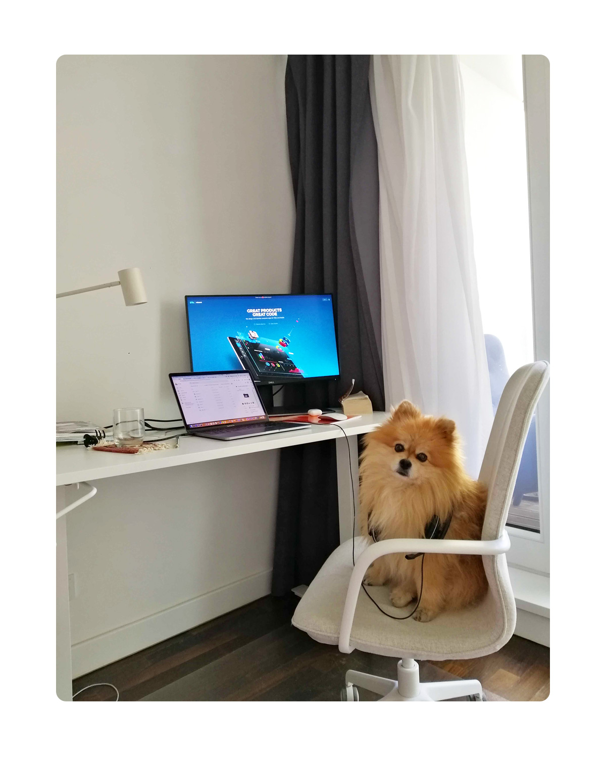 Railsware’s Journey to Building Remote Collaboration Workflows | Railsware Blog